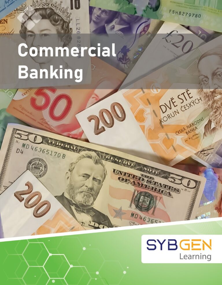 Programing with Python- Revised Edition – Sybgen Learning